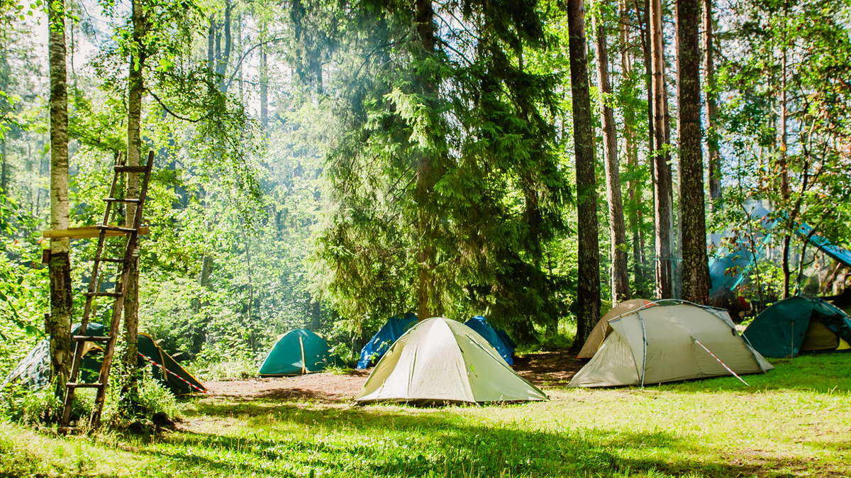 Camping, with Exodus as guide - The Jewish Chronicle - The Jewish Chronicle