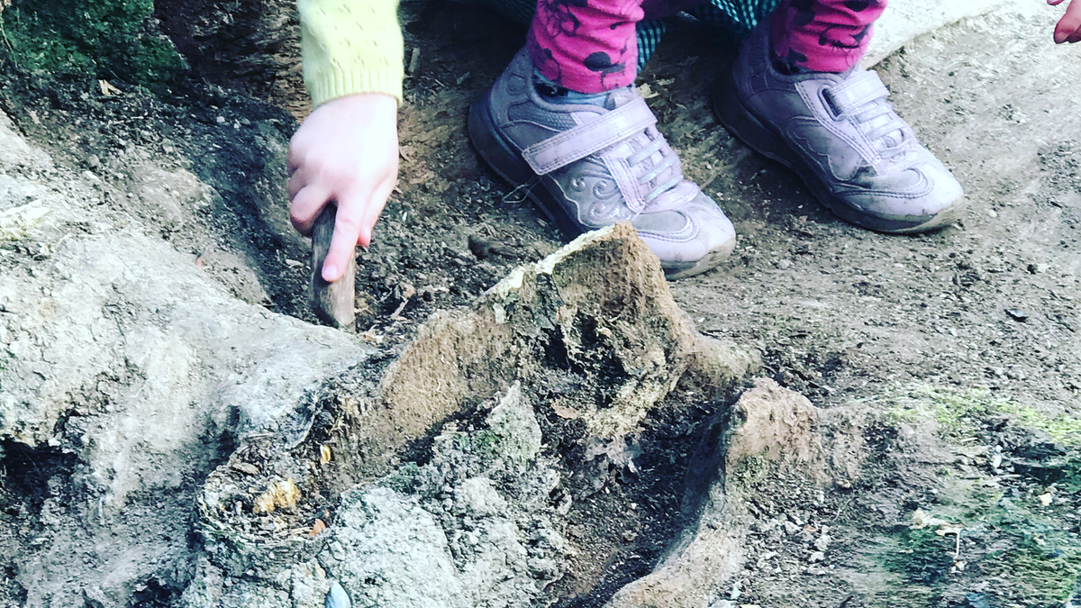 Lockdown lessons I’m learning from Ellie, queen of the forest - The ...