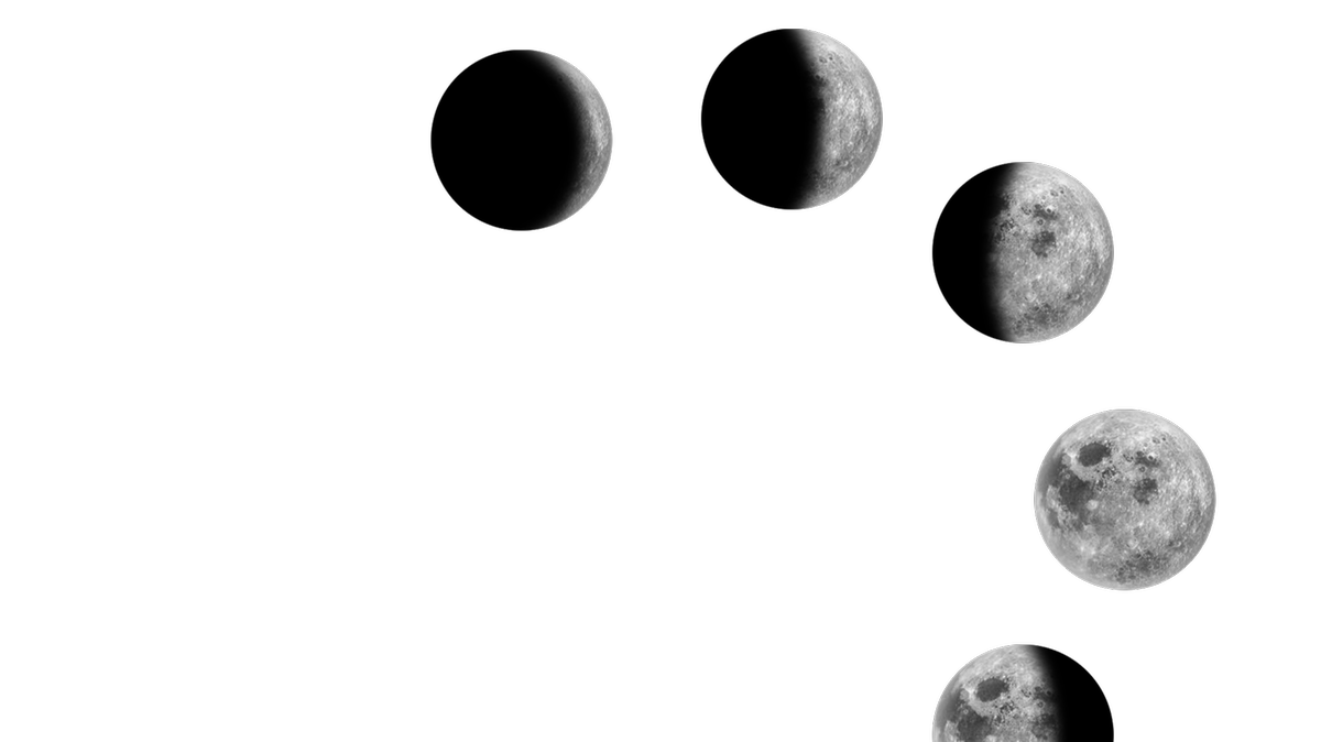 The Etgar Quiz no 298 - The Jewish Chronicle - The Jewish Chronicle