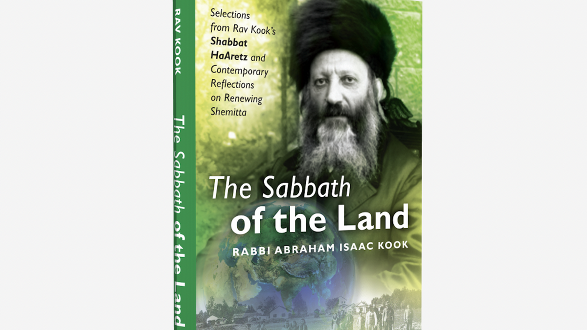 A sabbatical we should all take - The Jewish Chronicle - The Jewish ...