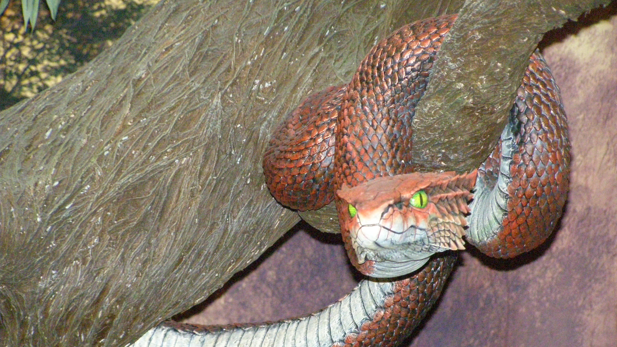 Parashah of the week: Bereshit - The Jewish Chronicle - The Jewish ...