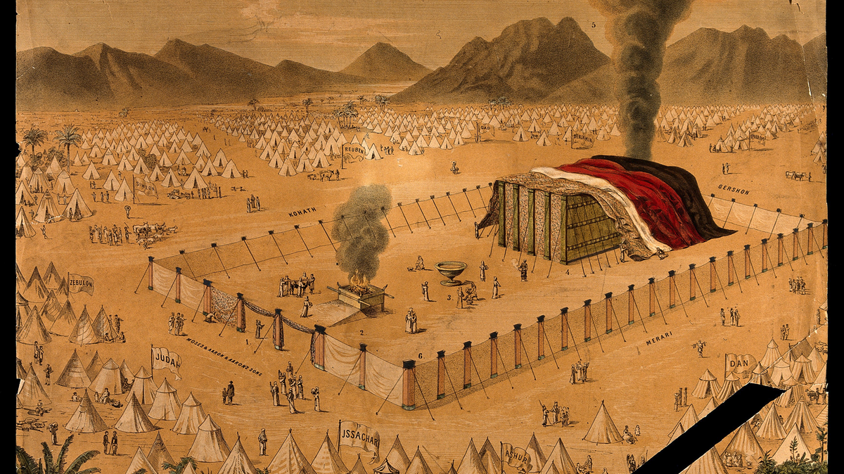 Parashah of the week: Vayikra - The Jewish Chronicle - The Jewish Chronicle