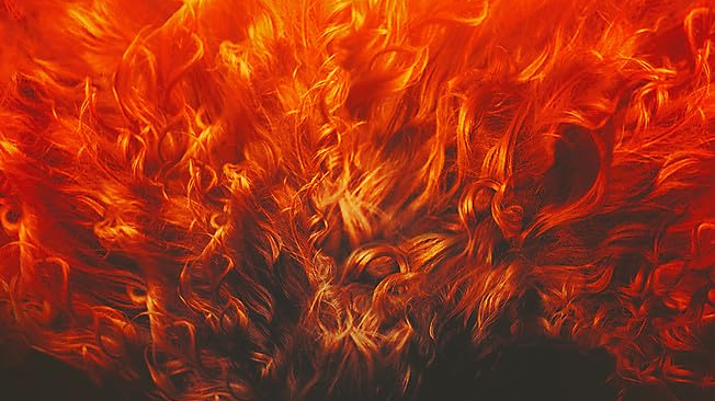 Fervour by Toby Lloyd, review: An infuriatingly flawed debut novel ...