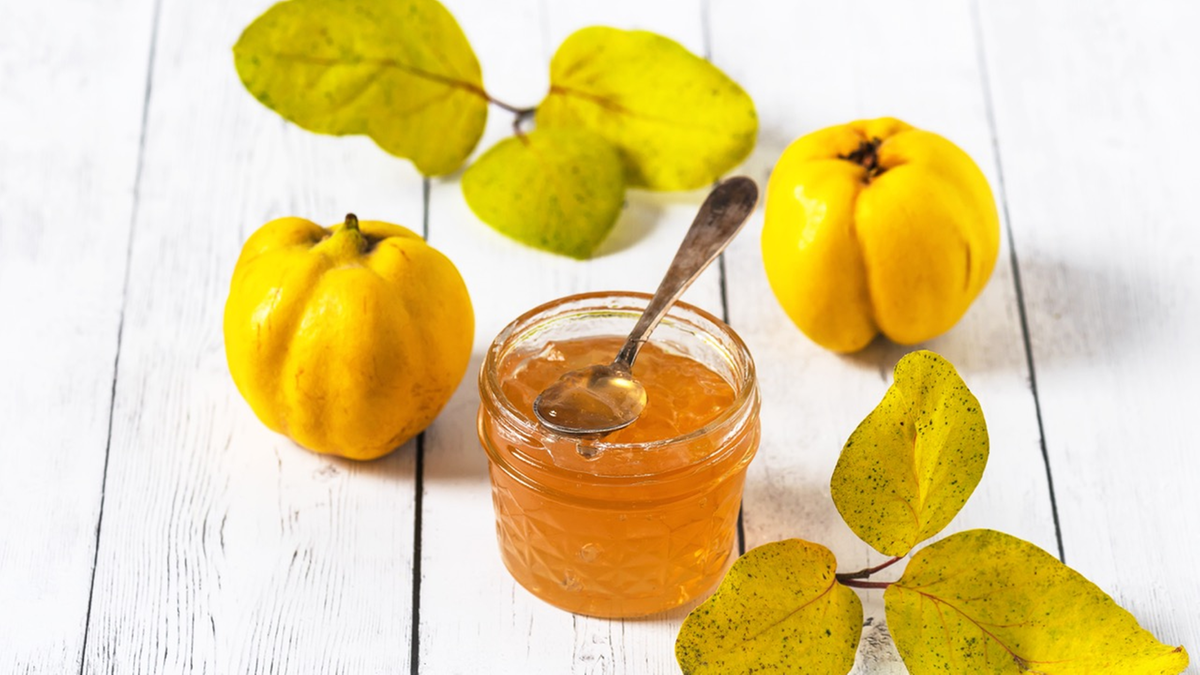 International fast-breaking favourites plus a top tip for your easiest ...