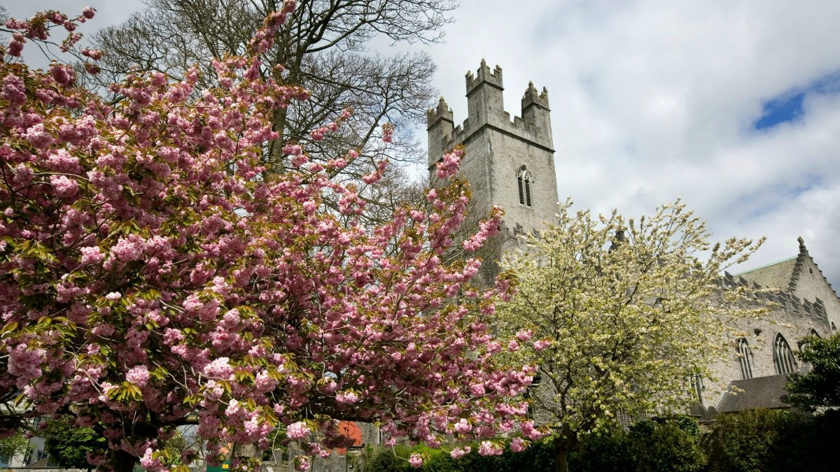 Finding a new Limerick: Ireland's unsung cultural capital - The Jewish ...