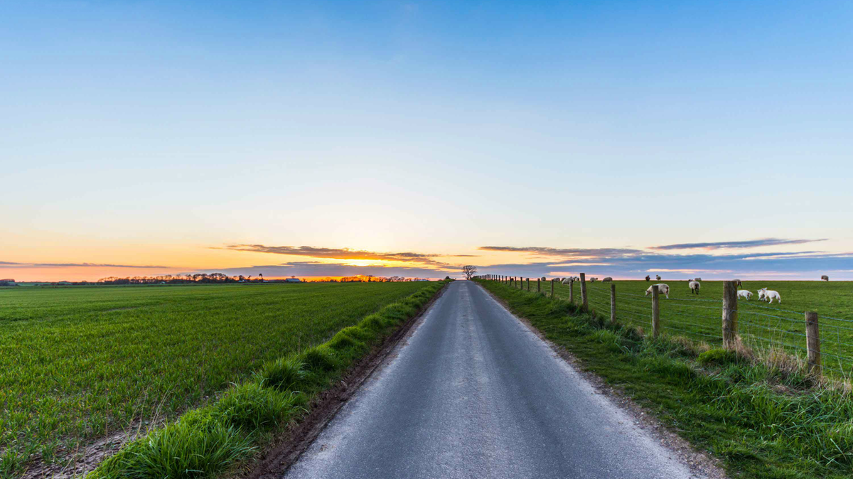 Road trippin' - The Jewish Chronicle - The Jewish Chronicle