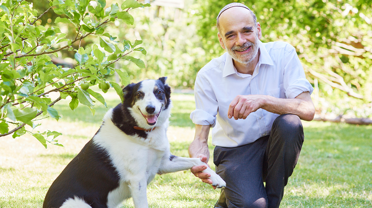 What the rabbi learned from his dogs - The Jewish Chronicle - The ...