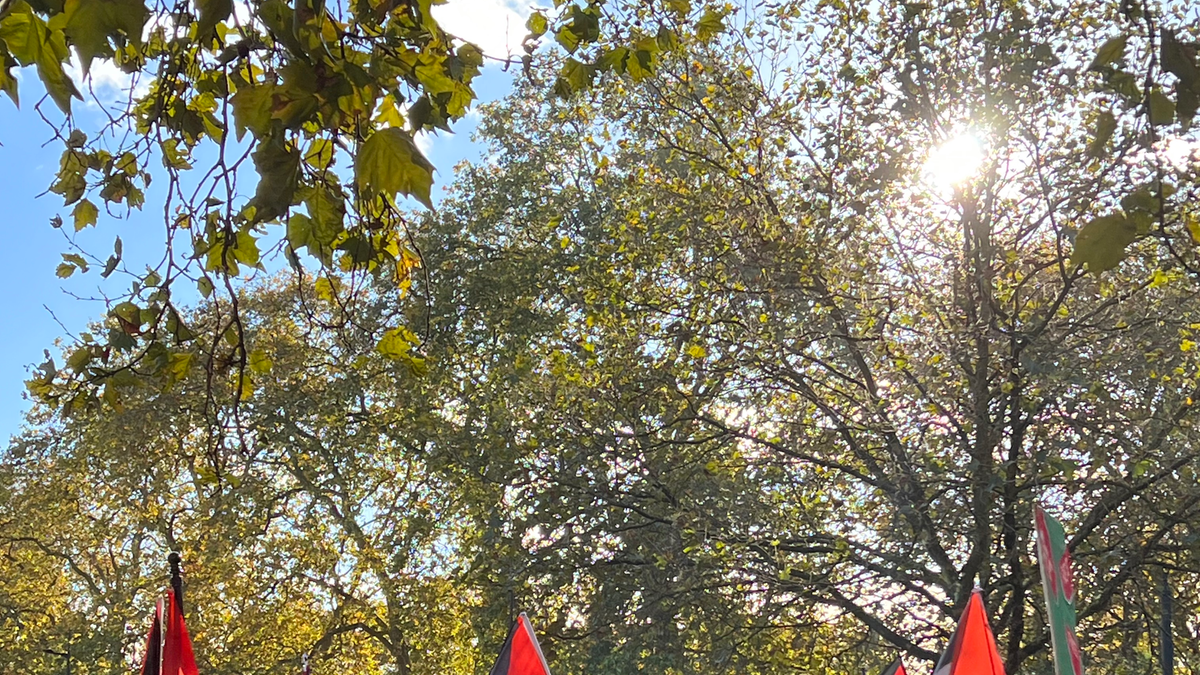300,000 protestors descend on London for Armistice Day march - while ...