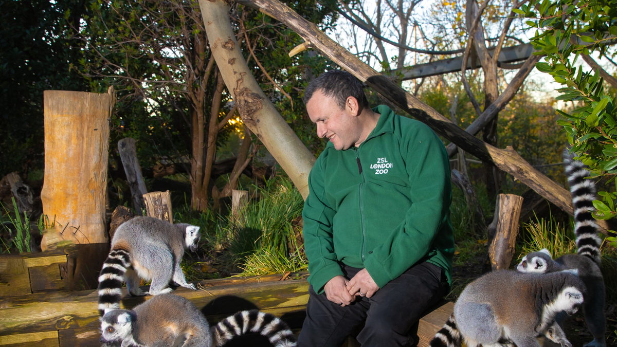 First ever zoo-cah to open to families and other animals - The Jewish ...