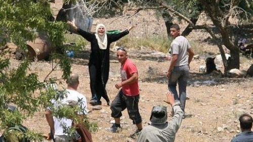 West Bank settlers attack soldiers - The Jewish Chronicle - The Jewish ...