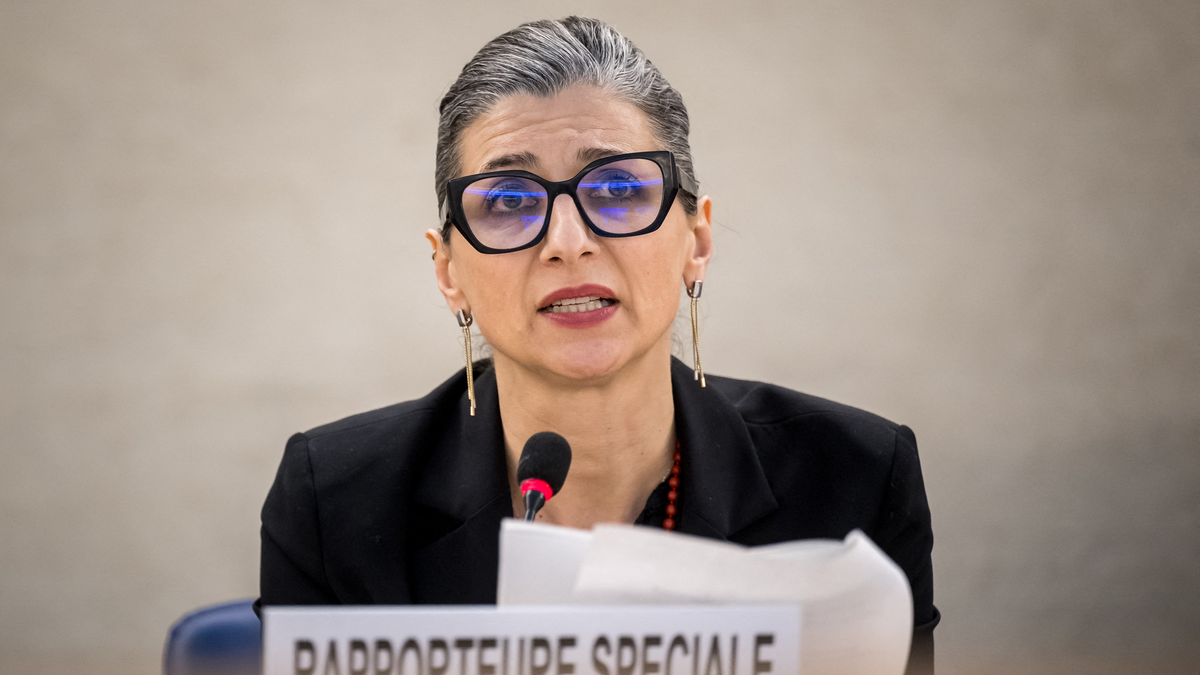 Labour MP: No place for Albanese’s ‘abhorrent’ comments on the world ...