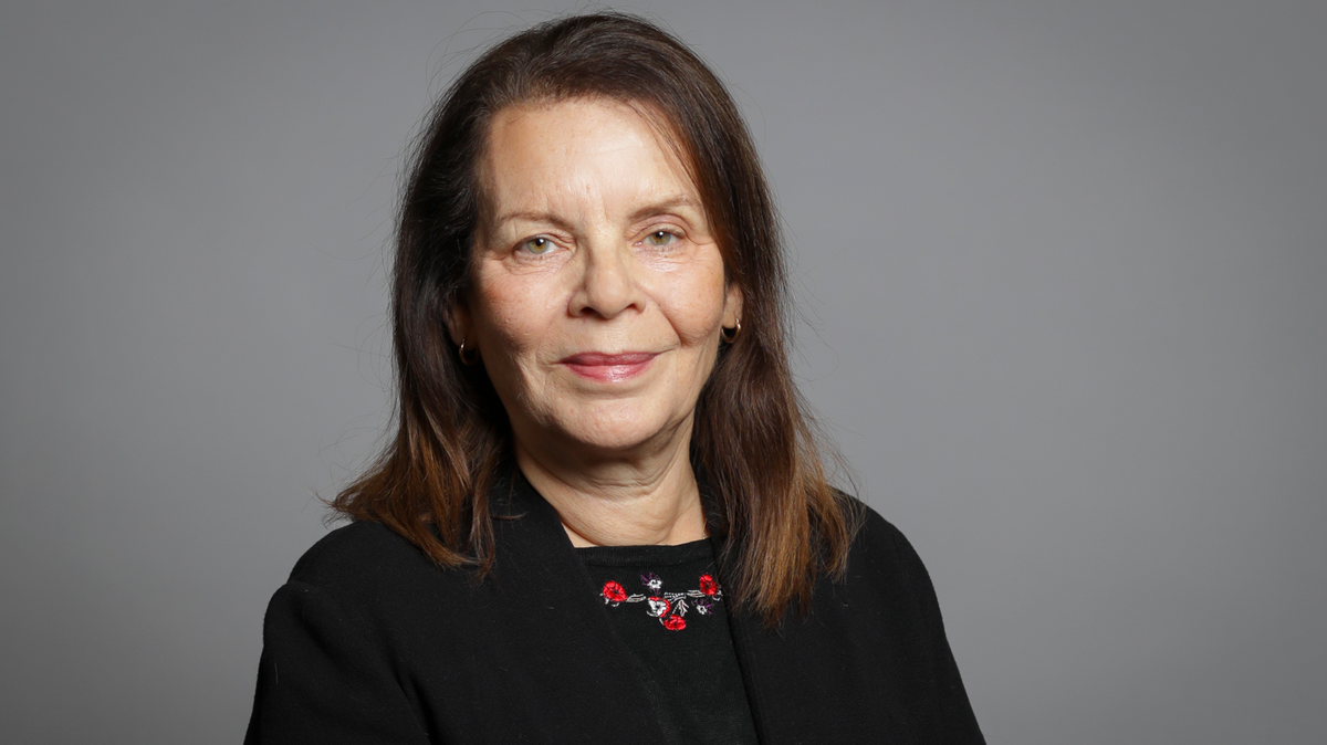 Lib Dem peer criticised after calling Israel’s actions in Gaza a ...