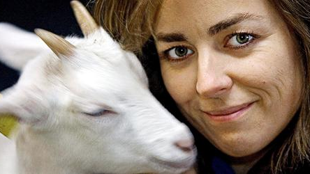 Shechitah under ﬁre in EU - The Jewish Chronicle - The Jewish Chronicle