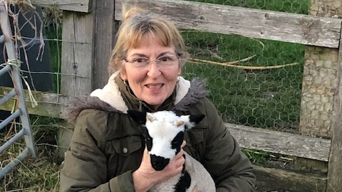 Literary agent claims ‘Half of British publishers will not take books ...