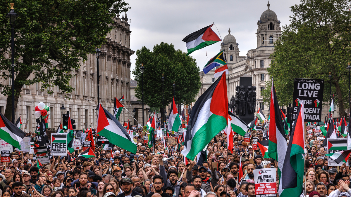 Police investigate alleged sexual assault during pro-Palestinian march ...