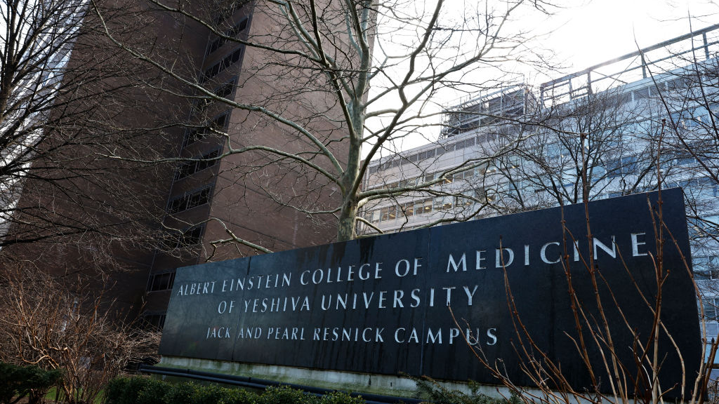 Jewish widow gifts free tuition to all students at New York medical ...