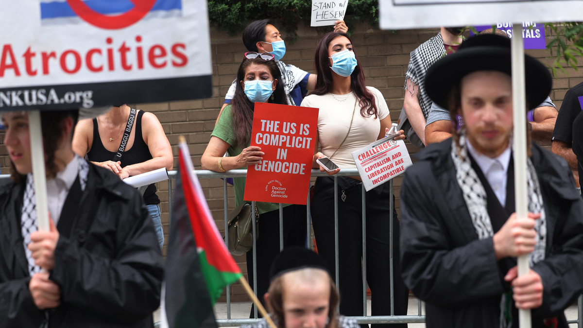Pro-Palestinian demo outside New York hospital after calls for ‘global ...