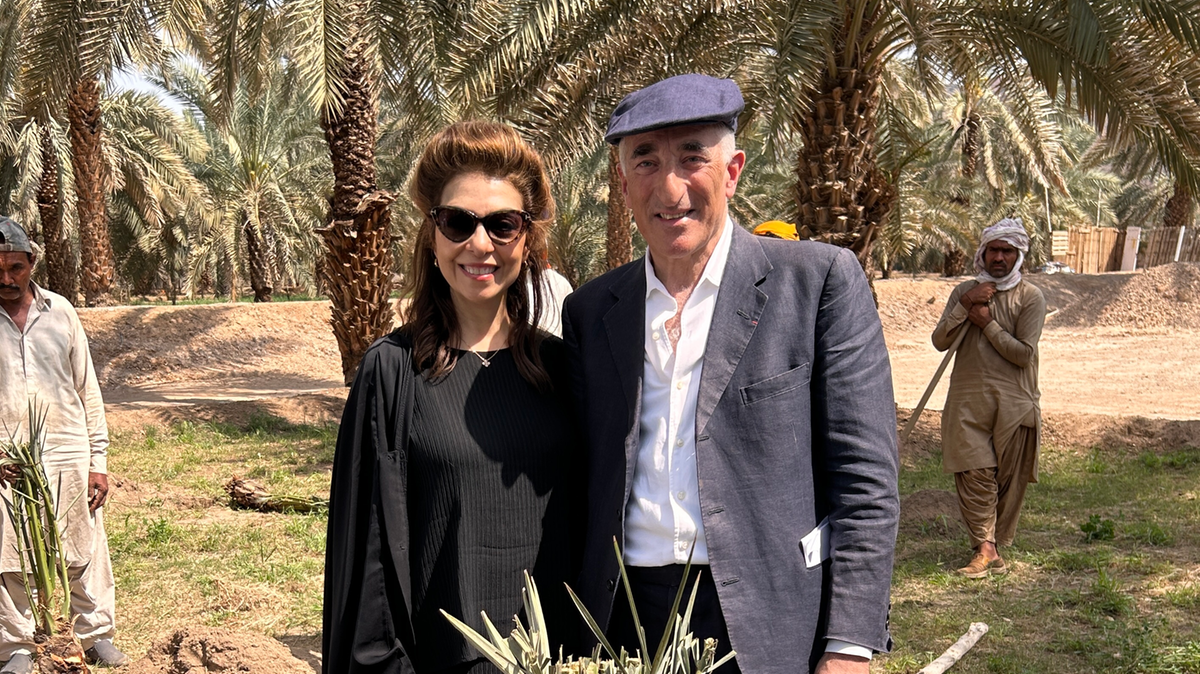 Jews plant date palms in Medina for first time in 1400 years - The ...