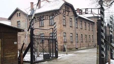 Remains of 86 Jews used by Nazis for medical experiments found in ...