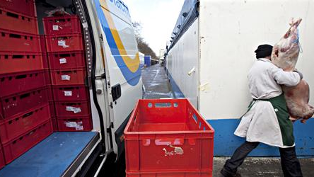 Shechitah set to be saved in Netherlands - The Jewish Chronicle - The ...