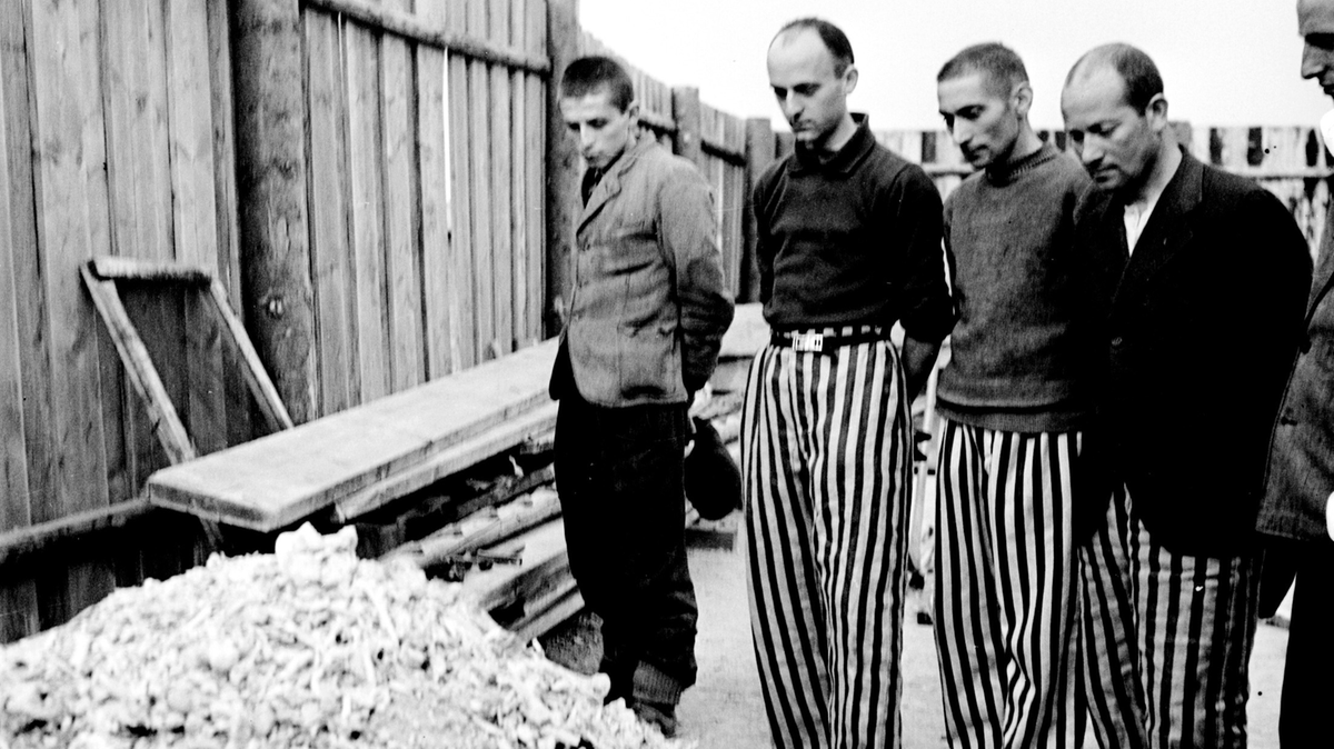 'Worst photos imaginable' of Nazi death camps on show in UK - The ...