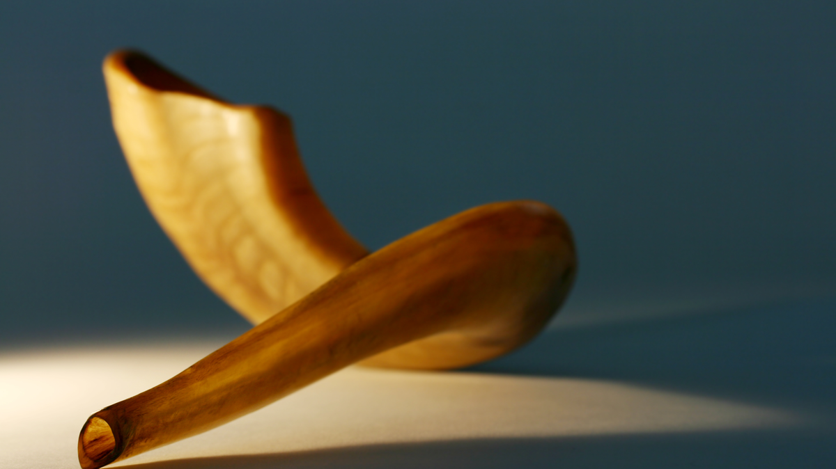 The JC Leader: More unity, less difference - The Jewish Chronicle - The ...