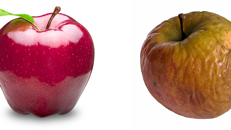 Shepping nachas from the joys of Yiddish - The Jewish Chronicle - The ...