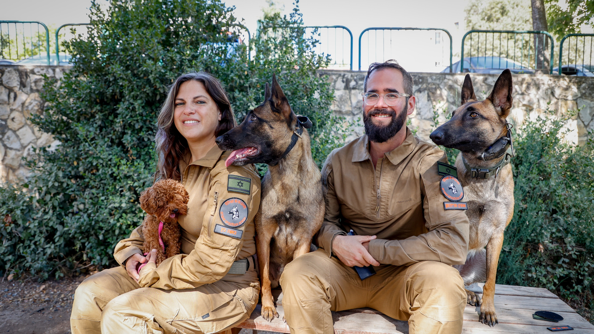 Yes, it is possible to be Jewish and love dogs - The Jewish Chronicle ...